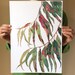 Gum Tree Print A5, 10x8, A4, 14x11, A3 Botanical Watercolour Wall Art ...