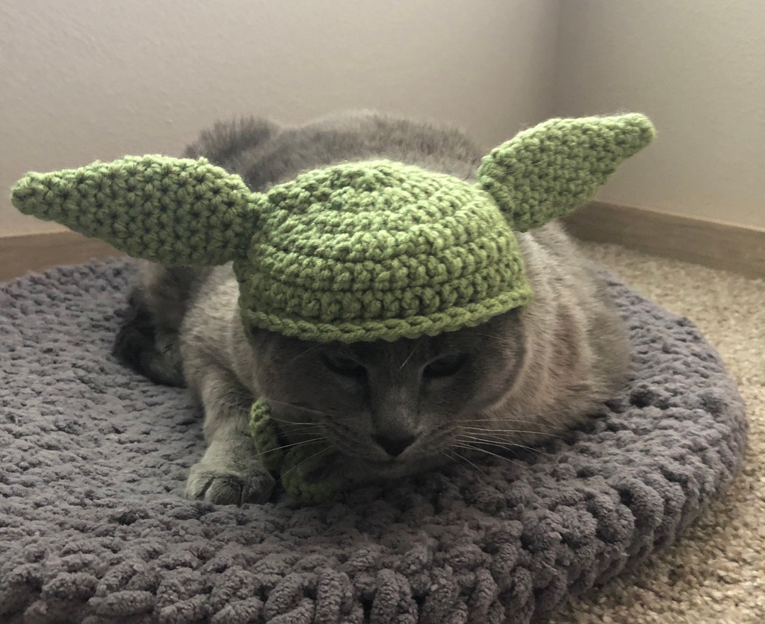 Green Alien Cat Hat for Your Cat or Small Dog - Etsy