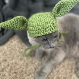 Green Alien Cat Hat for Your Cat or Small Dog - Etsy