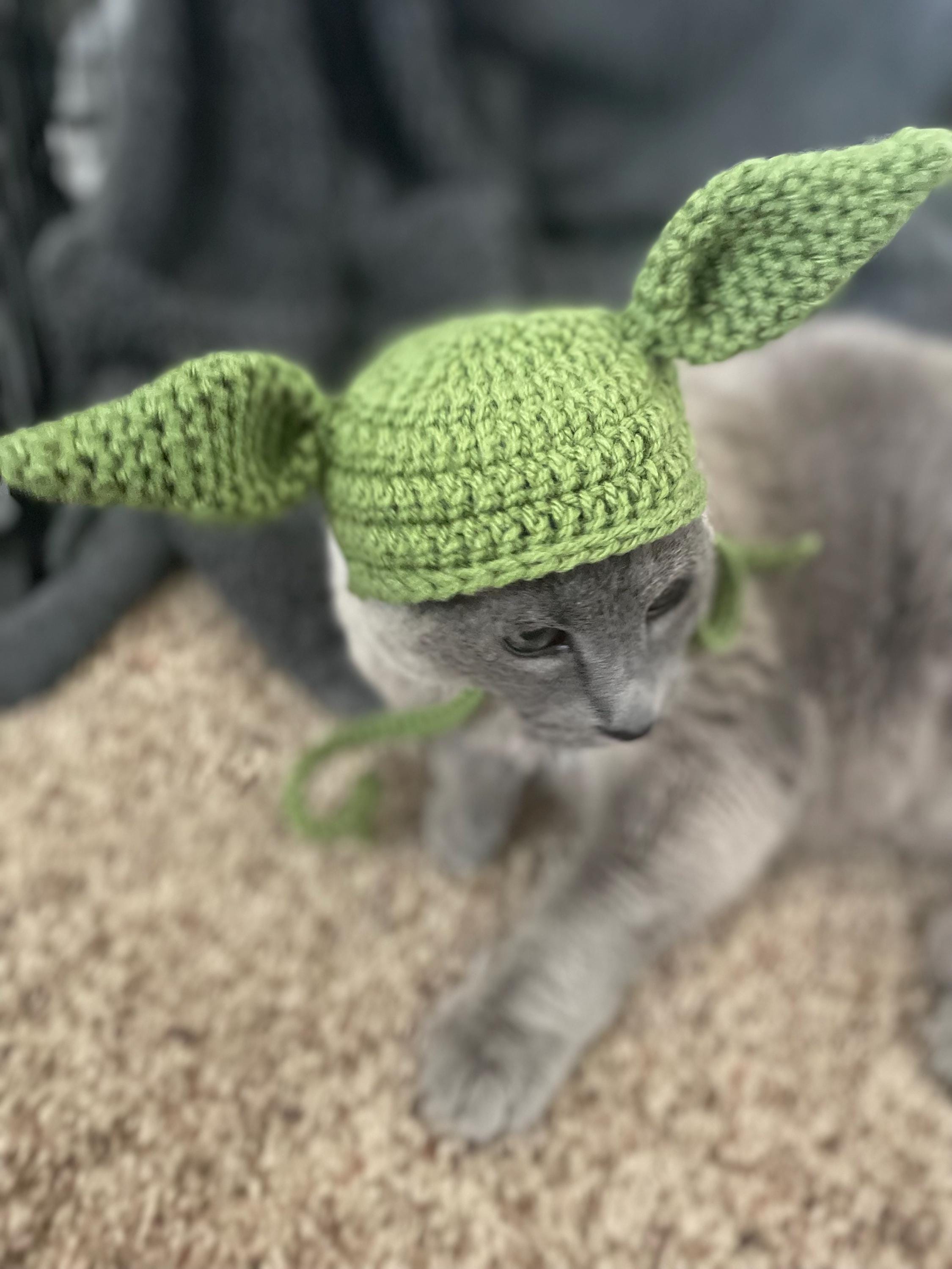 Green Alien Cat Hat for Your Cat or Small Dog - Etsy