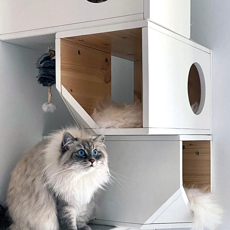Modular Cat Furniture - Etsy