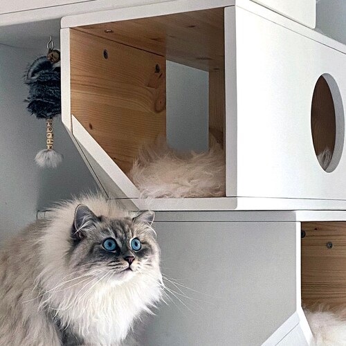 White Modular Cat House - Etsy