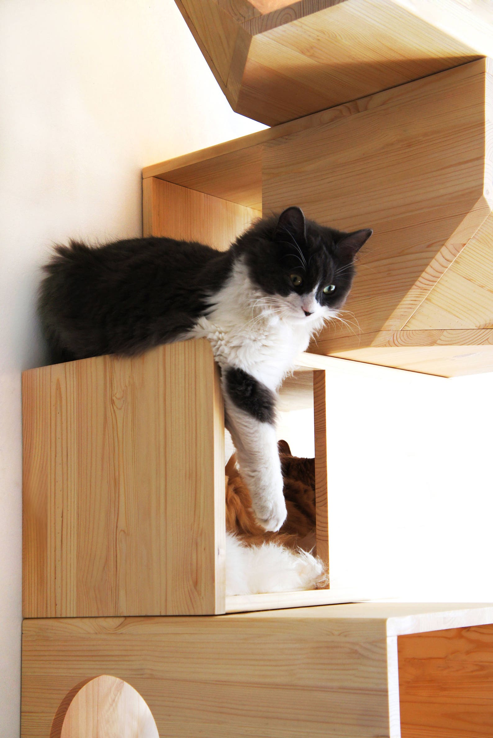 Wooden Modular Cat House - Etsy