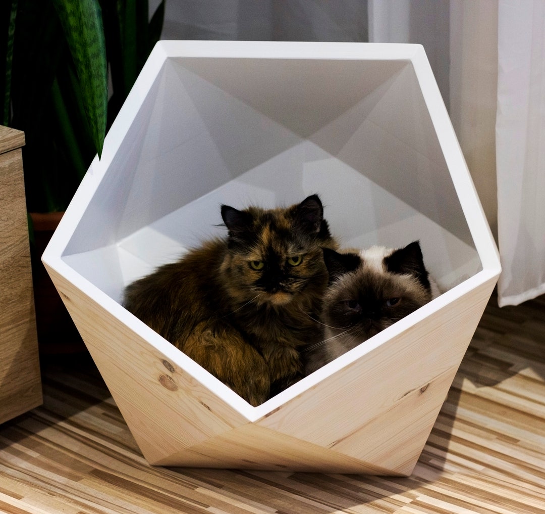 Double Geobed. Modern Wooden Icosahedral Bed for Cats Etsy UK