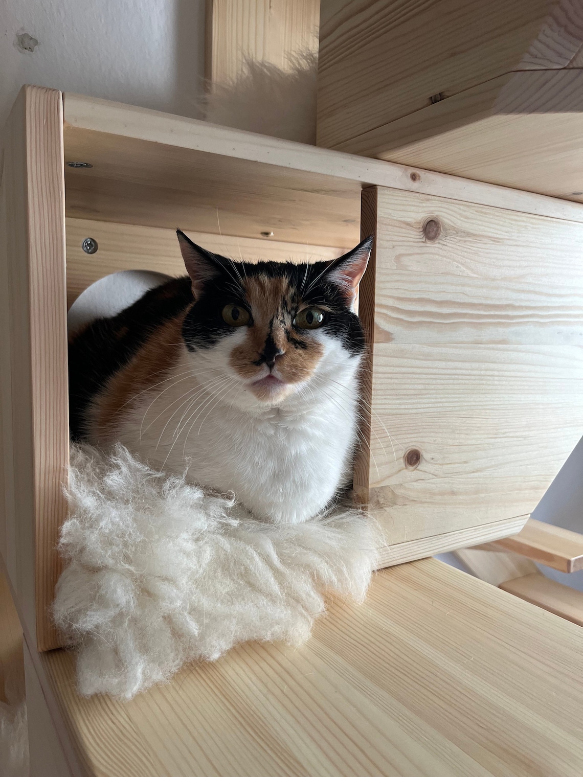Wooden Modular Cat House - Etsy