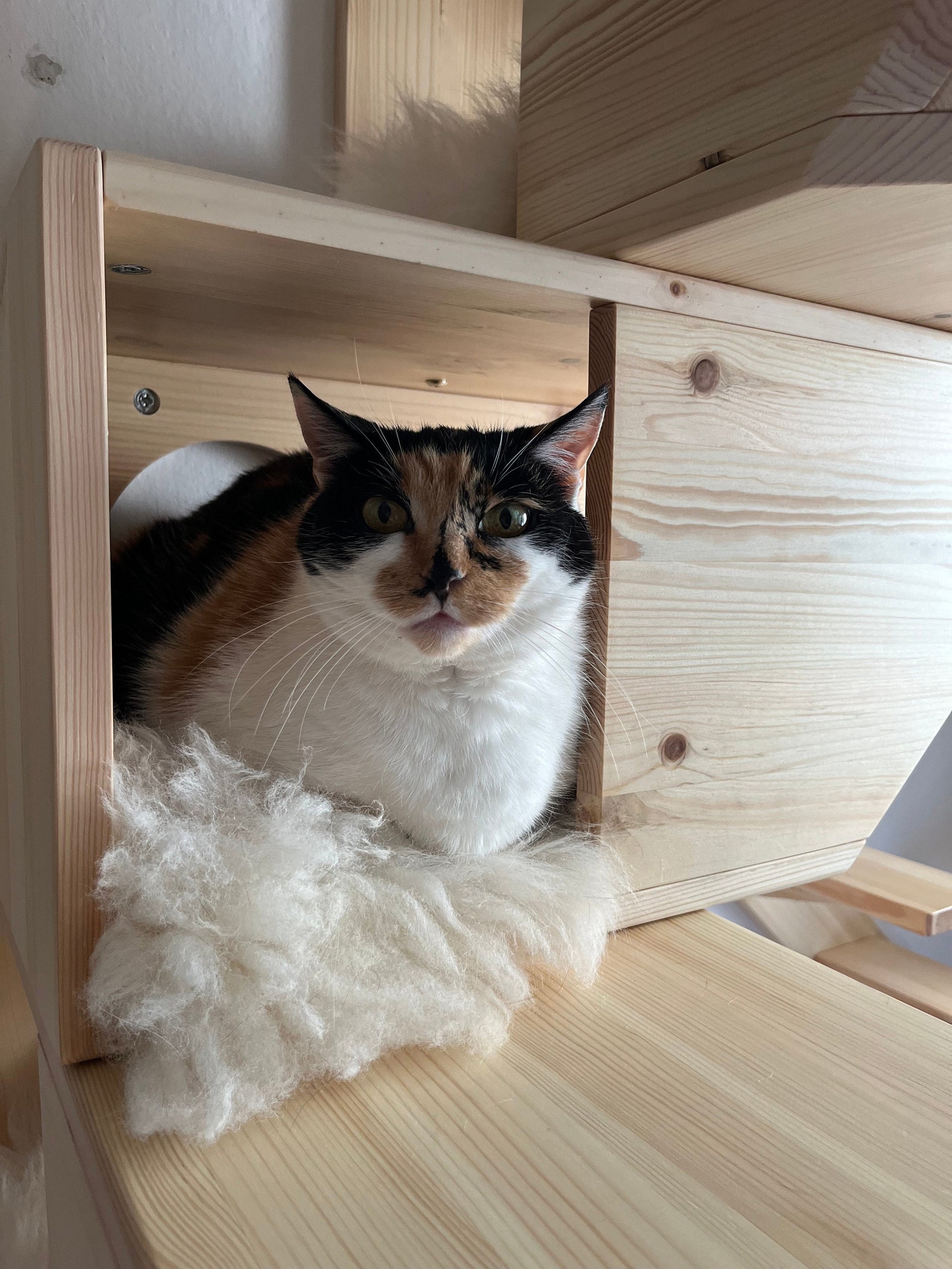Wooden Modular Cat House - Etsy