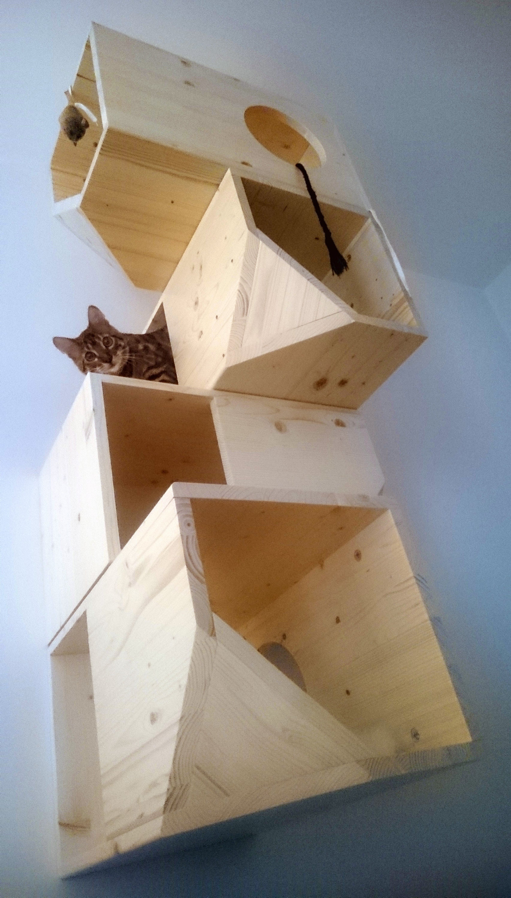 Wooden Modular Cat House Etsy Uk
