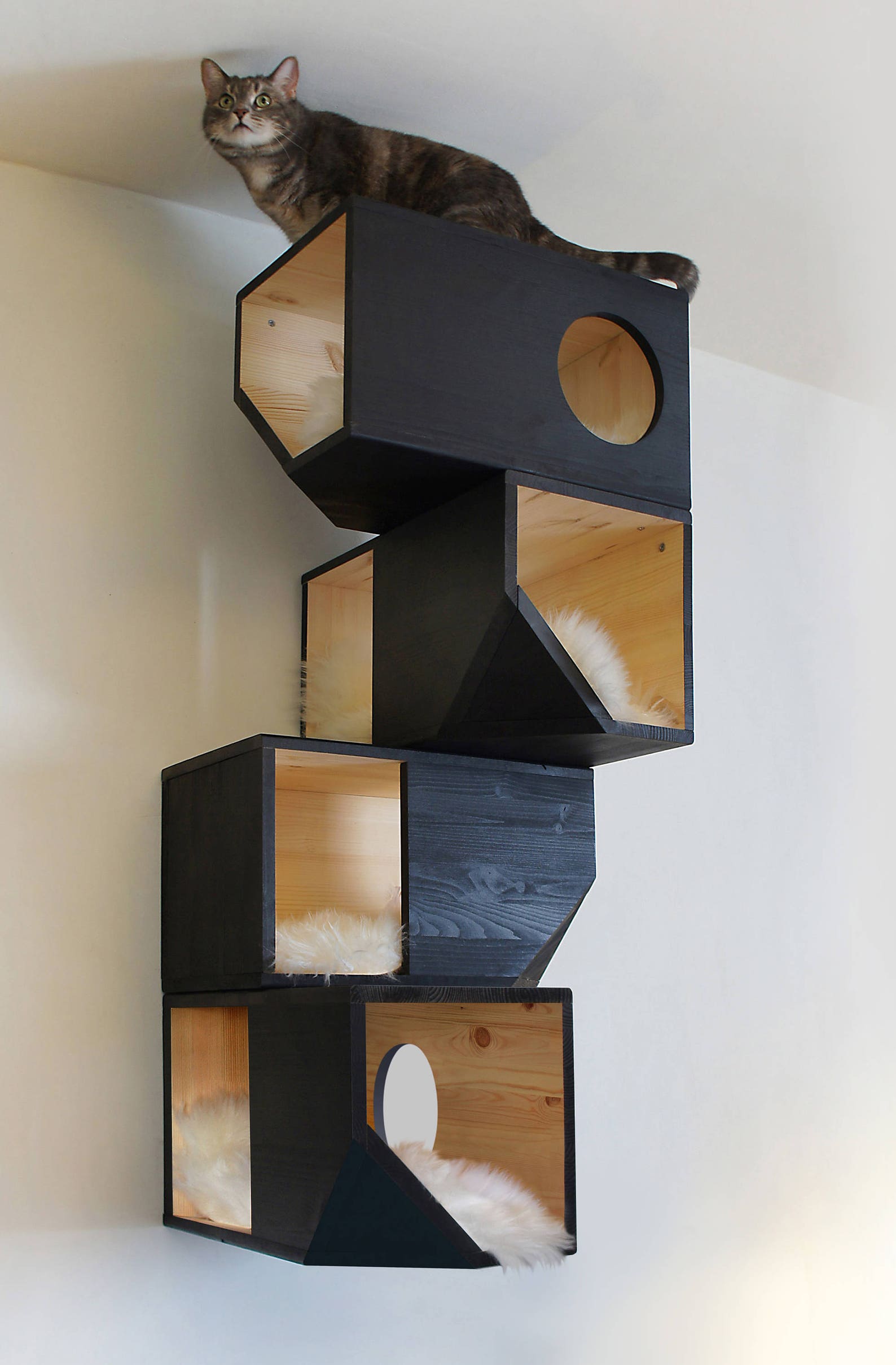 Black Catissa Modular Cat House | Etsy