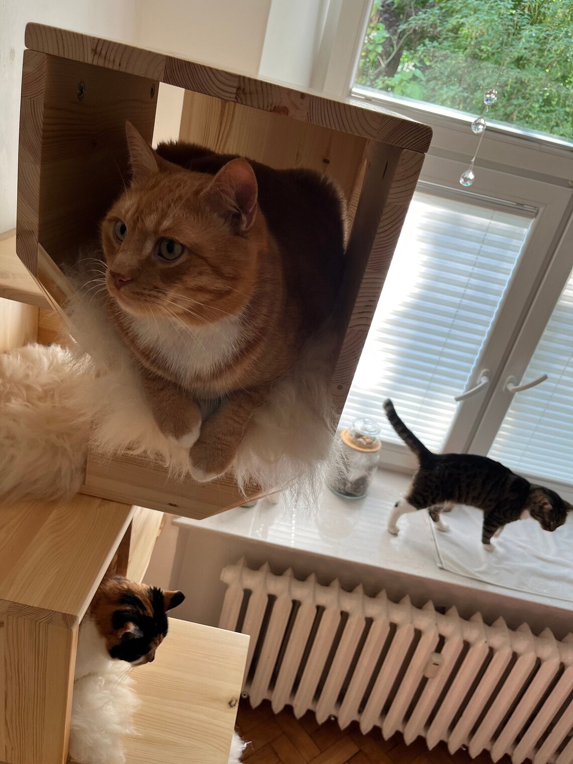 Wooden Modular Cat House - Etsy