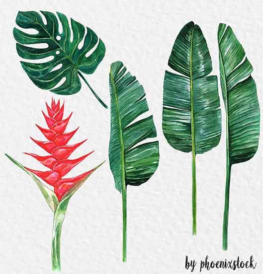 Watercolor Clip Art Jungle Watercolor Tiger Clipart Tropical Flowers ...