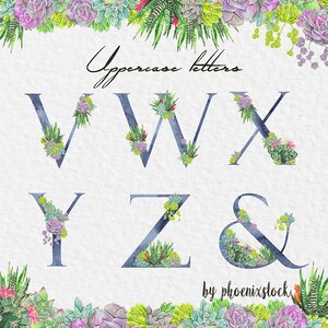 Watercolor Cactus Alphabet Succulent Watercolor Clipart Alphabet Floral ...
