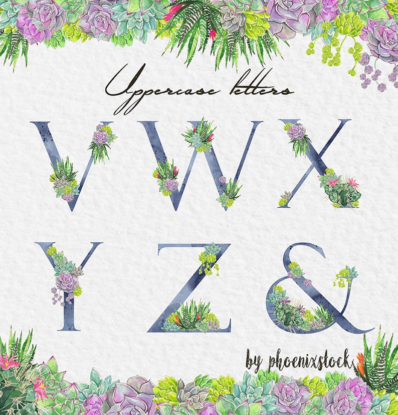 Watercolor Cactus Alphabet Succulent Watercolor Clipart Alphabet Floral ...