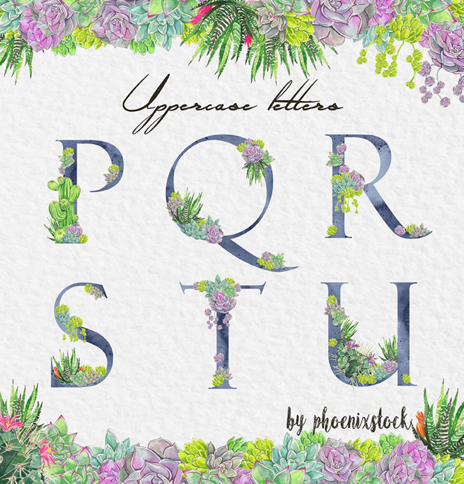 Watercolor Cactus Alphabet Succulent Watercolor Clipart Alphabet Floral ...