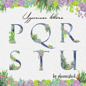 Watercolor Cactus Alphabet Succulent Watercolor Clipart Alphabet Floral ...