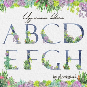 Watercolor Cactus Alphabet Succulent Watercolor Clipart Alphabet Floral ...