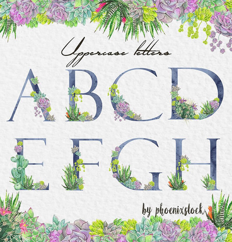 Watercolor Cactus Alphabet Succulent Watercolor Clipart Alphabet Floral ...