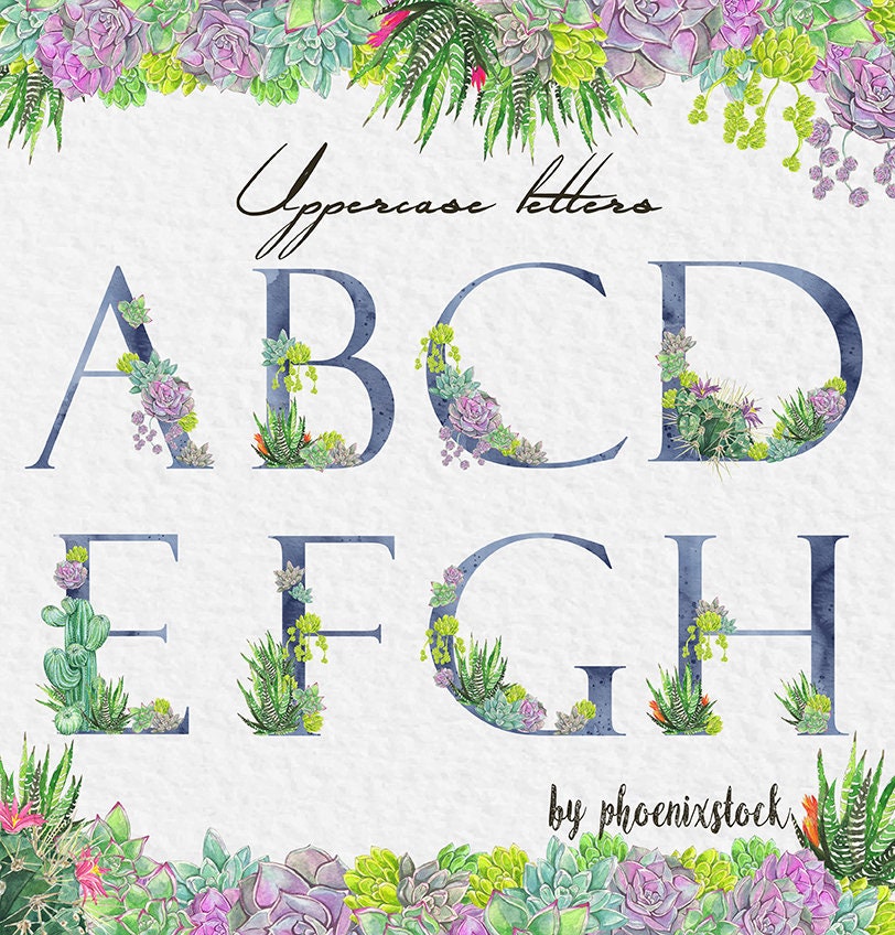Watercolor Cactus Alphabet Succulent Watercolor Clipart Alphabet Floral ...