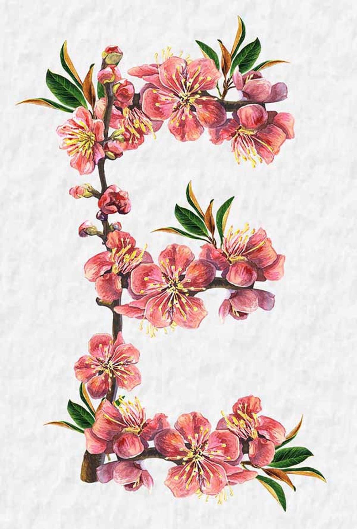 Watercolor Valentine's Clip Art/watercolor Clip Art Blossom/flower Clip ...