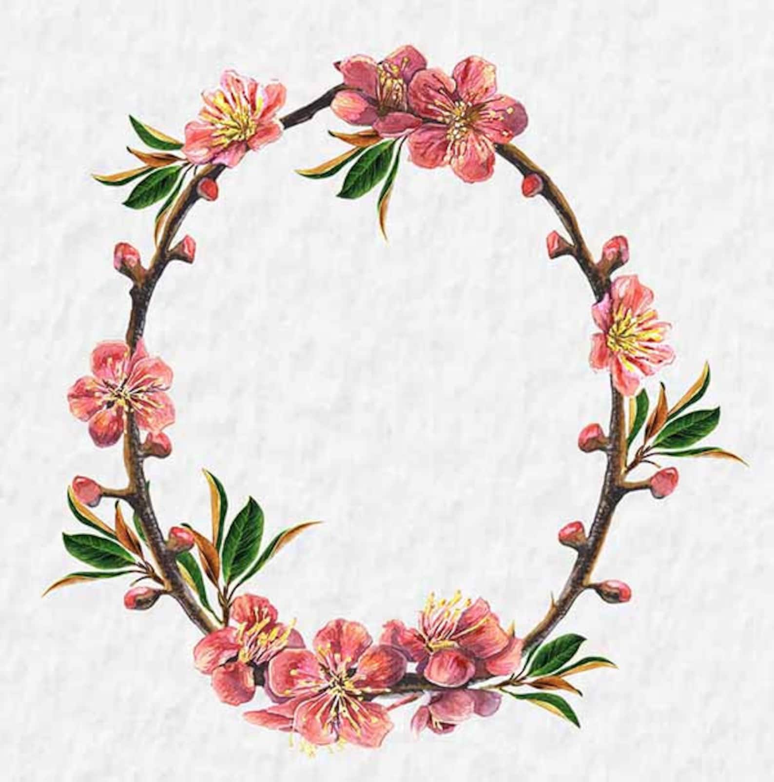 Watercolor Valentine's Clip Art/watercolor Clip Art Blossom/flower Clip ...