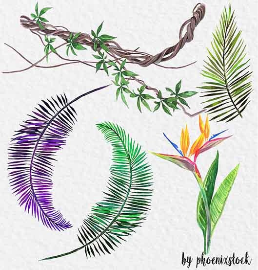 Watercolor Clip Art Jungle Watercolor Tiger Clipart Tropical Flowers ...