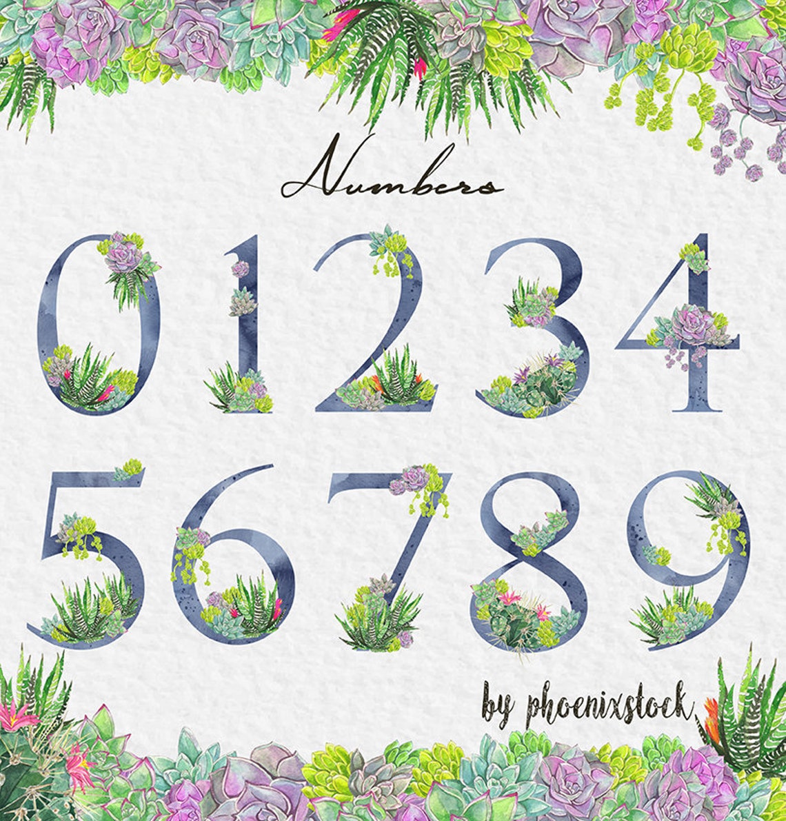 Watercolor Cactus Alphabet Succulent Watercolor Clipart Alphabet Floral ...