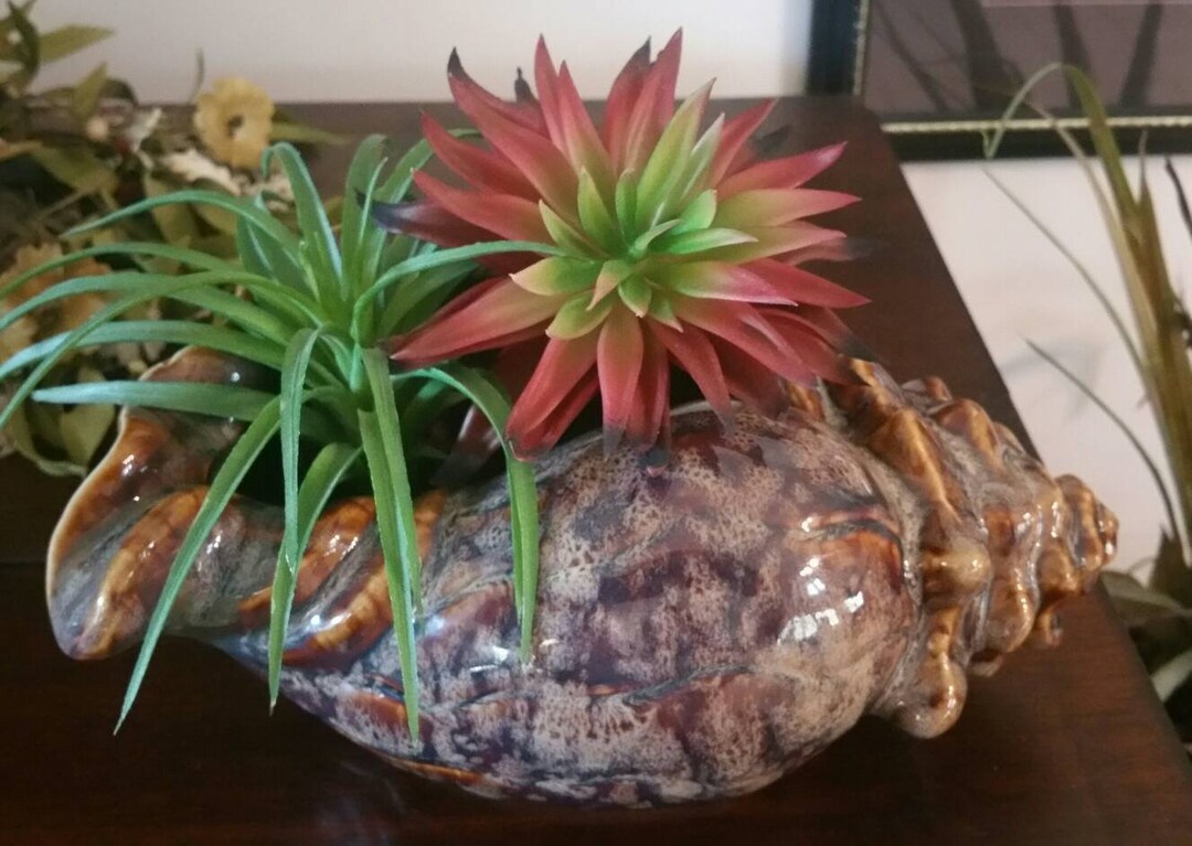 Vintage Pottery Conch Shell Planter Bowl Candy Dish Beautiful - Etsy