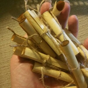 Qty 10 Vintage Looking Aged Distressed Gold Parchment Mini Scrolls ...
