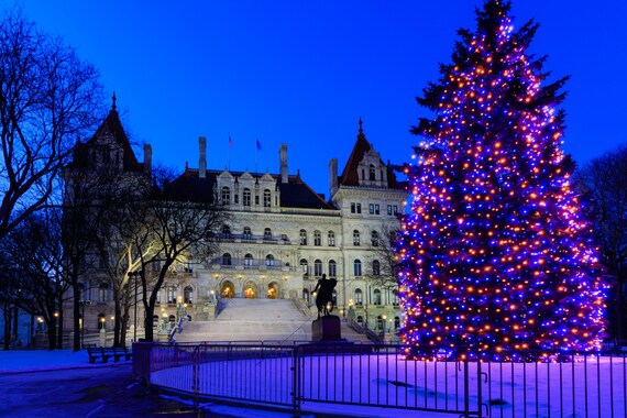 Christmas Trees Albany Ny