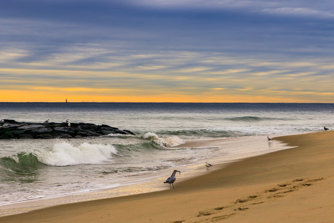 Coastal Beach Scene Shore Birds Printable Art. Summer Vacation ...