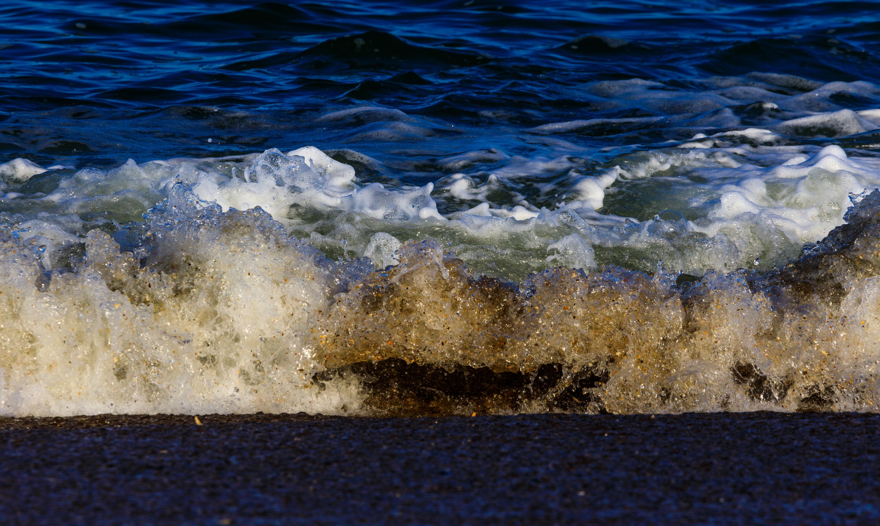 Digital Prints Art & Collectibles salt sand art Sea Surfs up printable ...