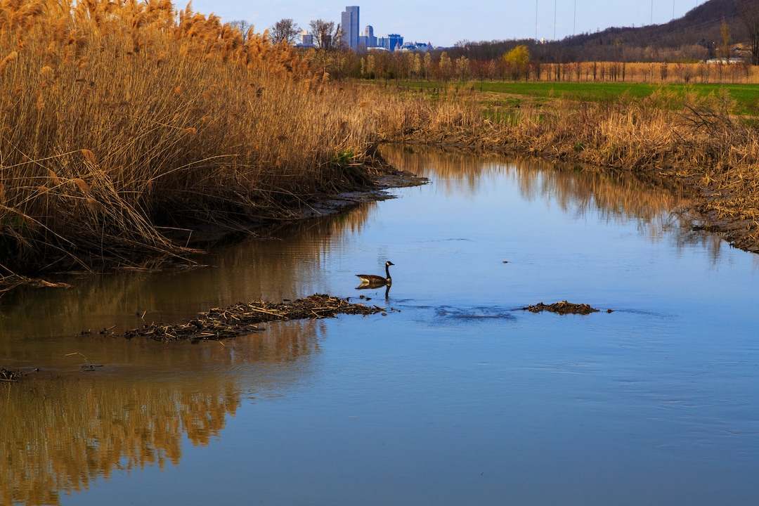 Rural Farmland Wall Art. Landscape Stream Fields Printable. Albany New ...