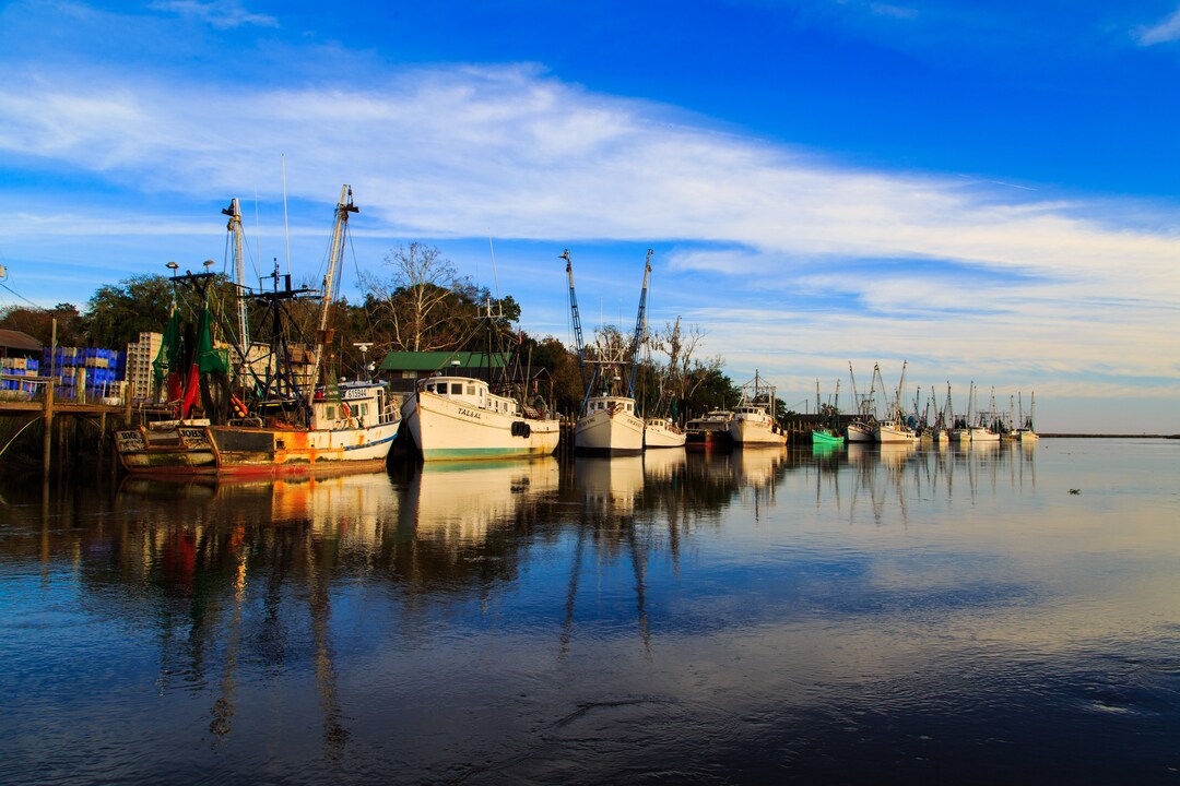 Darien GA, Altamaha River Fishing Boats, Docks Art. Nautical Bay Area ...