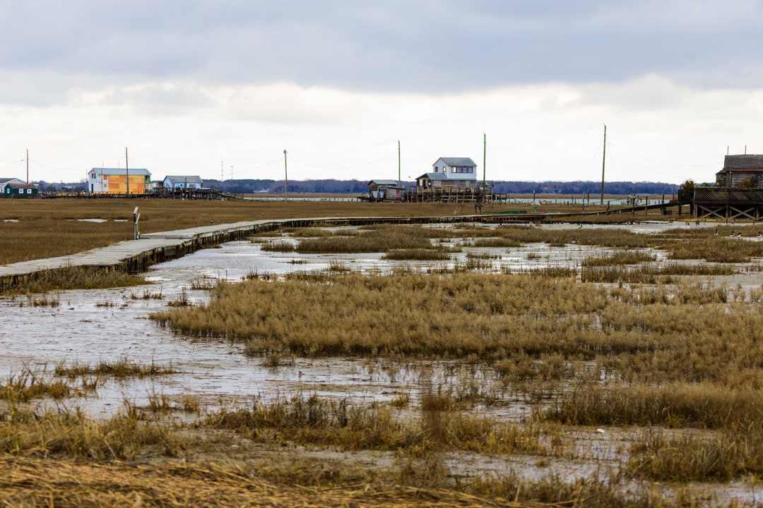 Wildwood NJ Marshland Photo: Back Bay Cottages Seascape (digital Image ...