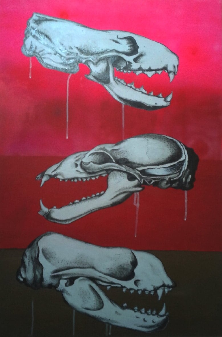 3 Skulls: Weasel, Bear, Sea Lion Inspired by Vintage Science Text Books ...