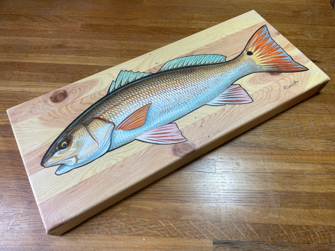 Redfish Painting on Wood Panel Giclee Canvas Print - Etsy