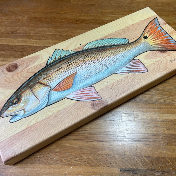 Redfish Wood Art - Etsy
