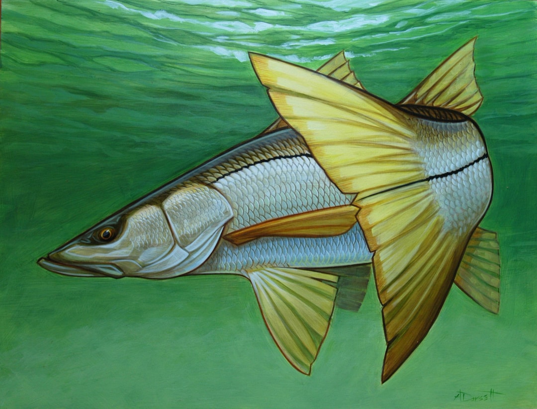 Snook Painting on Prepared Board - Etsy