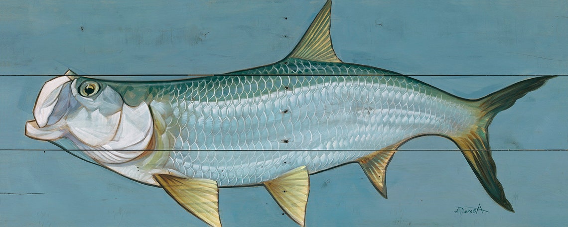 Tarpon Giclee Canvas Print - Etsy