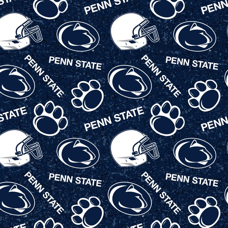 Lion Quilt Pattern - Etsy