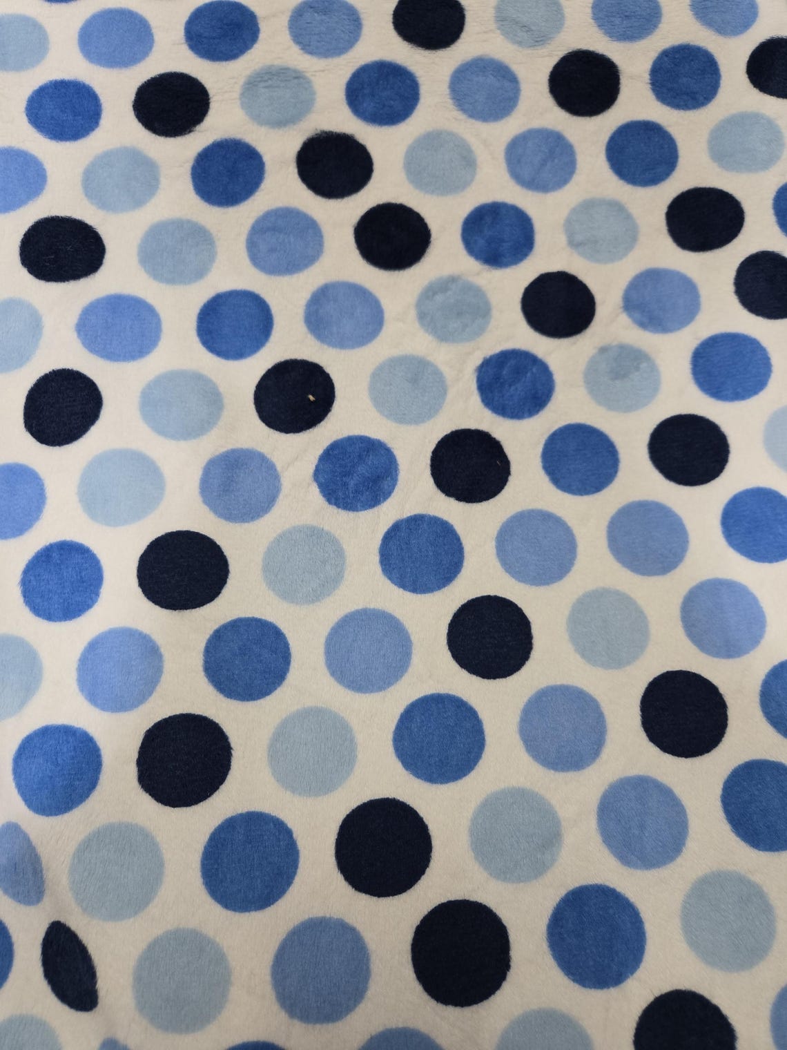 Shannon Fabrics Mod Dot Cuddle Blue Sky Minky Fabric by the Yard - Etsy