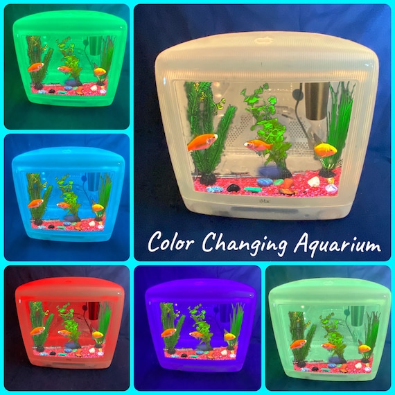 Imac G3 Fish Tank