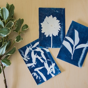 Botanical Mix - Original Cyanotypes on Postcards - Etsy