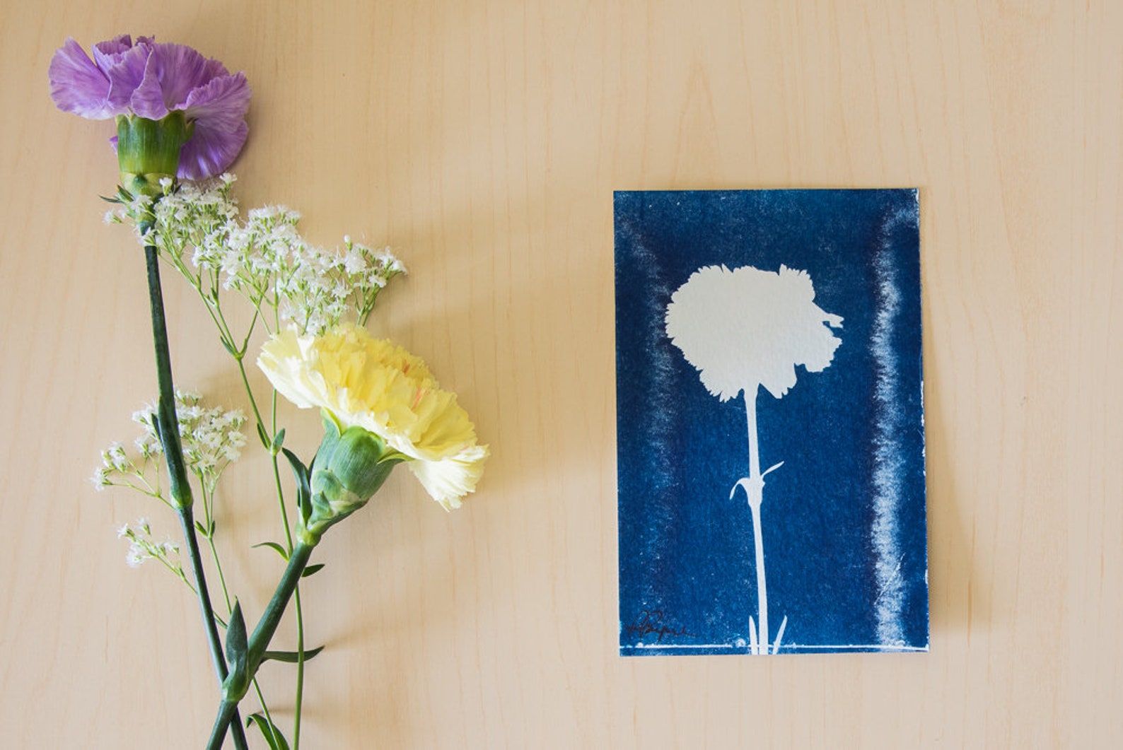 Carnations Original Cyanotype Art/postcards - Etsy