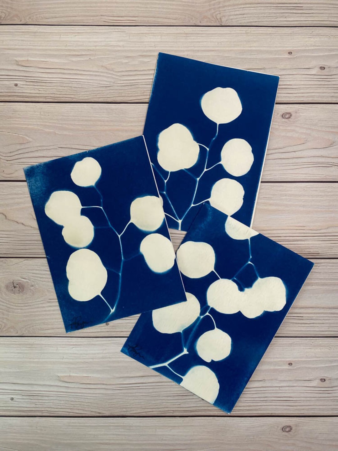 Eucalyptus Original Cyanotype Greeting Cards - Etsy