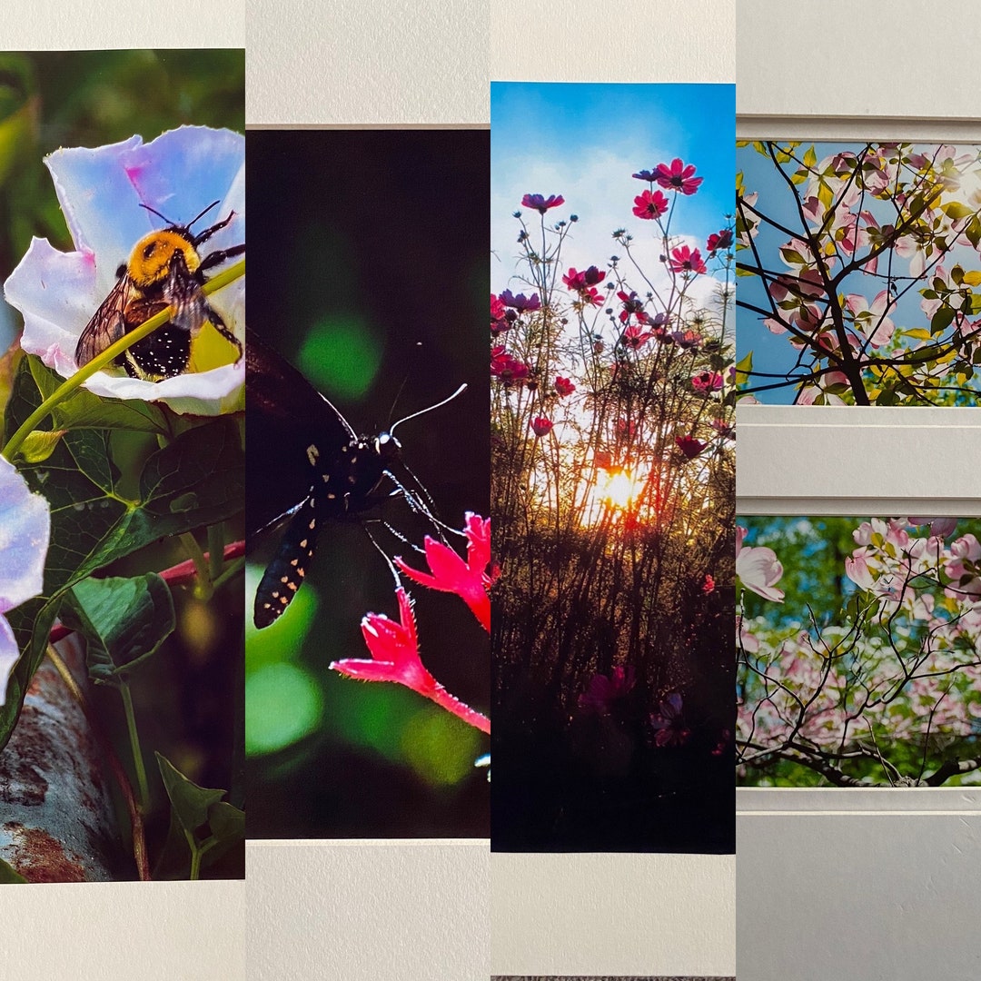 Flora and Fauna Photography - Mounted Photographs - Etsy