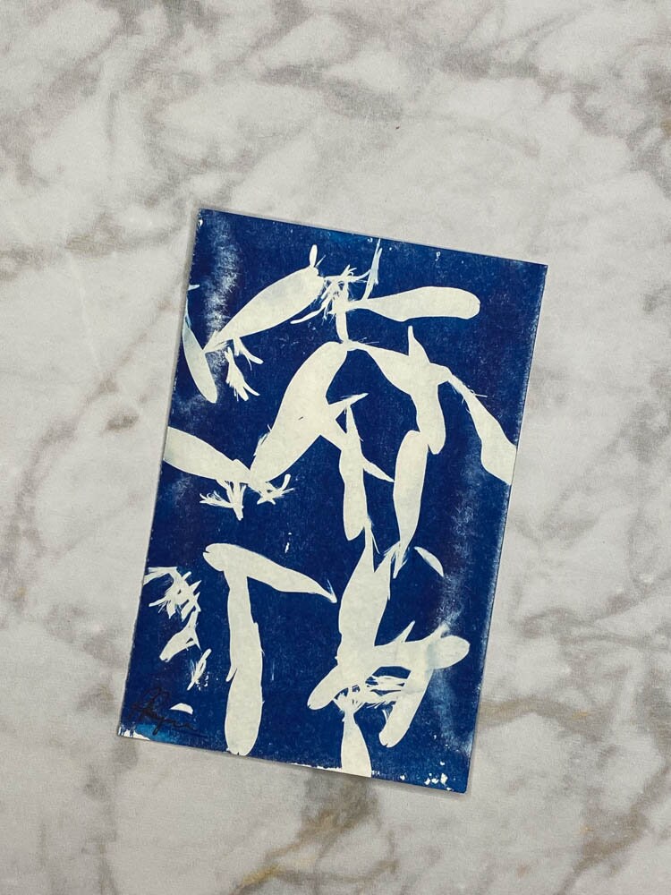 Botanical Mix Original Cyanotypes on Postcards - Etsy