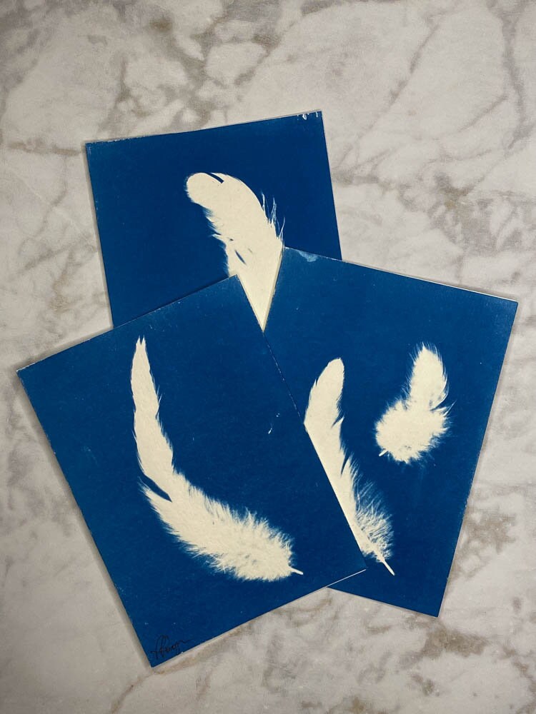 Feathers I - Original Cyanotype Greeting Cards - Etsy