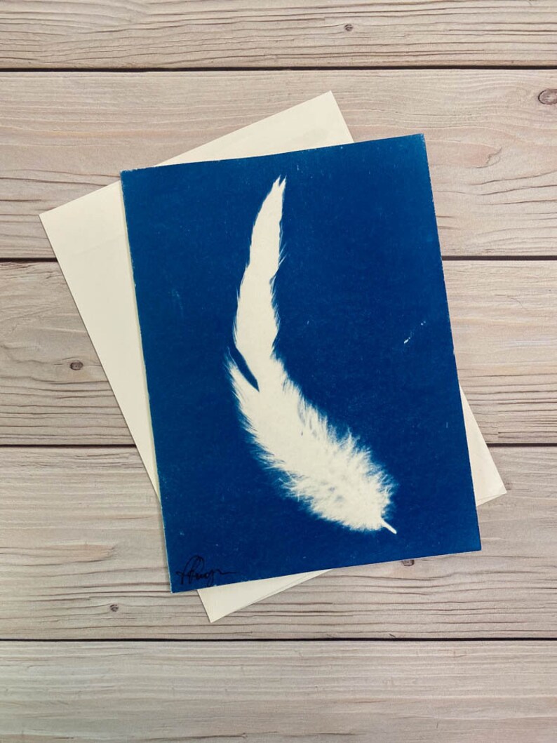 Feathers I - Original Cyanotype Greeting Cards - Etsy