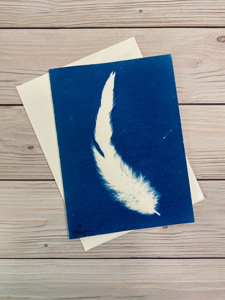 Feathers I - Original Cyanotype Greeting Cards - Etsy