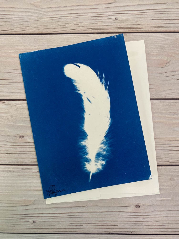 Feathers I - Original Cyanotype Greeting Cards - Etsy